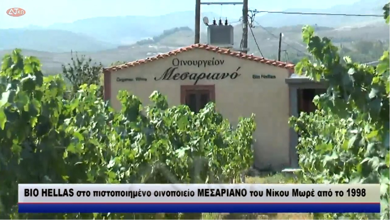 ΜΕΣΑΡΙΑΝΟ’’,το πιο αγνό κρασί Πανελλαδικά από BIO HELLAS – Δηλώσεις Ν ...